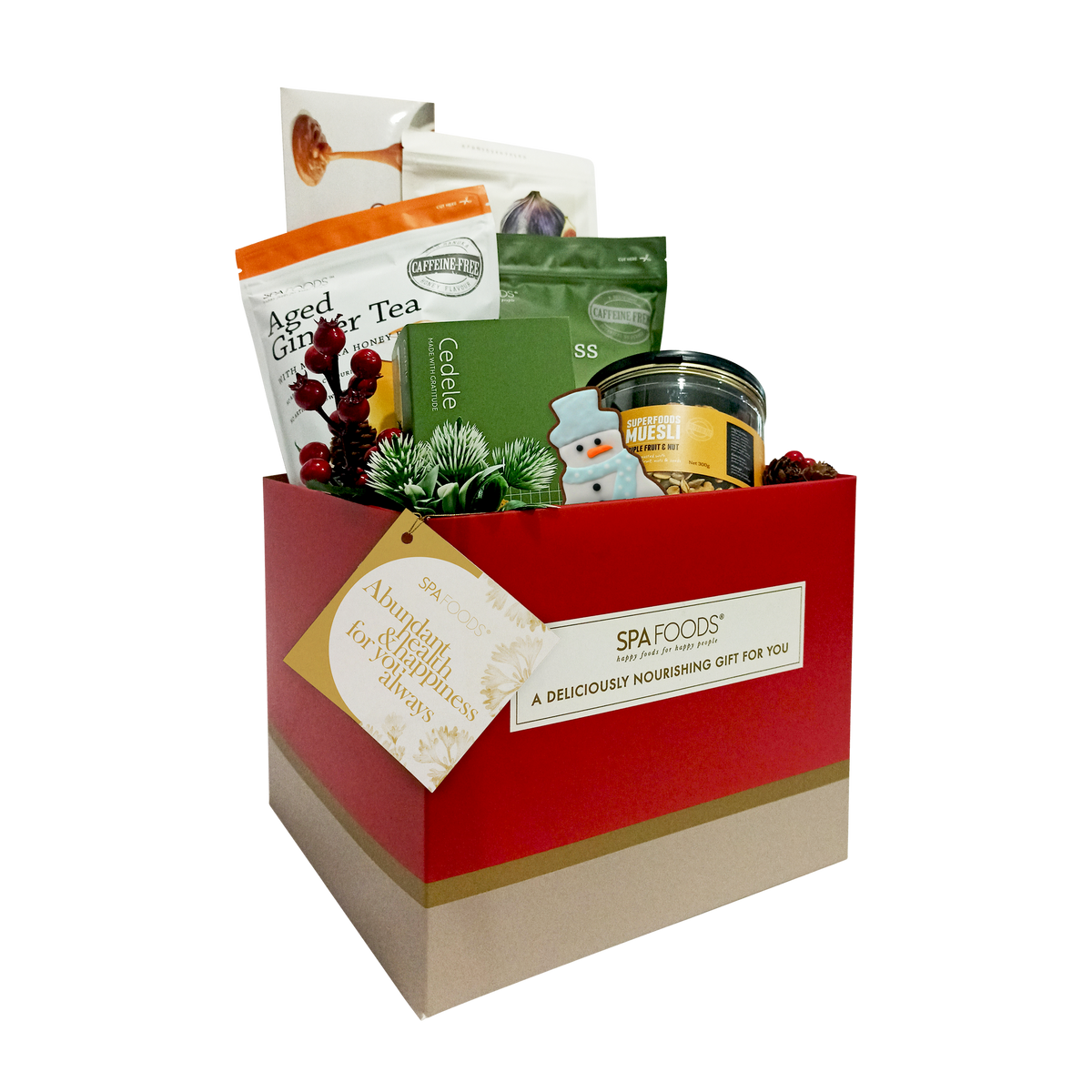 Boost Box – Spa Foods Pte Ltd